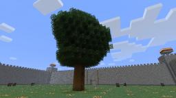 Giant Sequoia Tree Minecraft Map