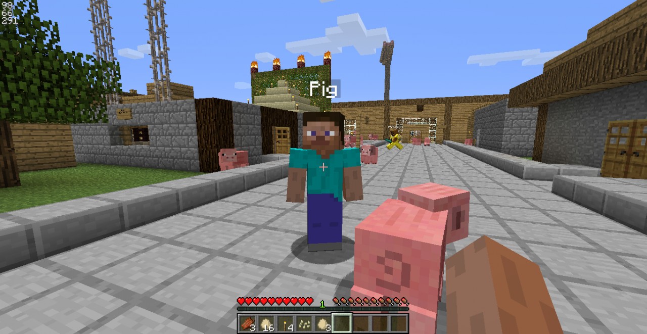 server from pig Minecraft Server
