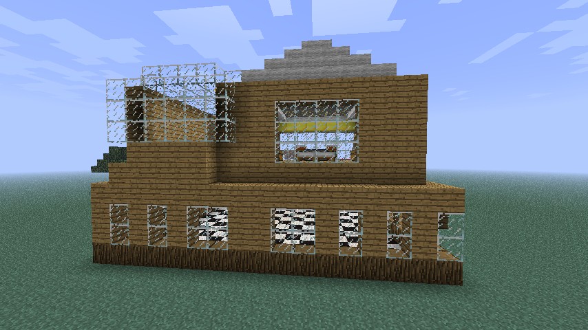 Geo's House Minecraft Map
