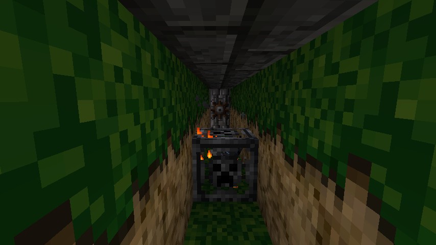 Level Up! Minecraft Map