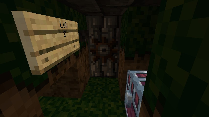 Level Up! Minecraft Map