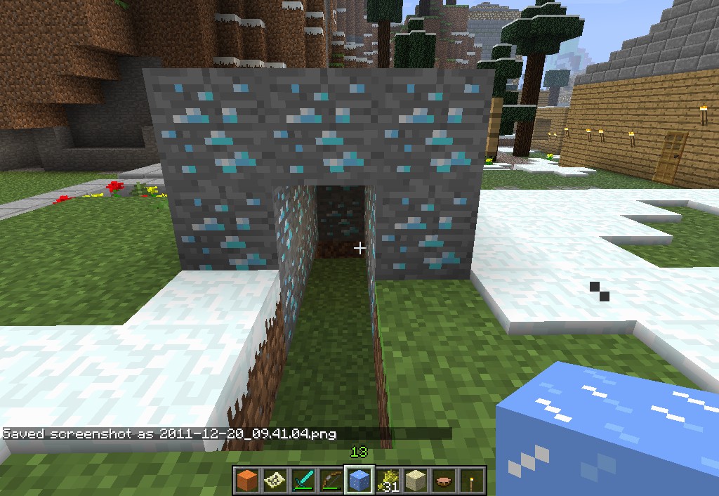 Down the Rabbit Hole Minecraft Map