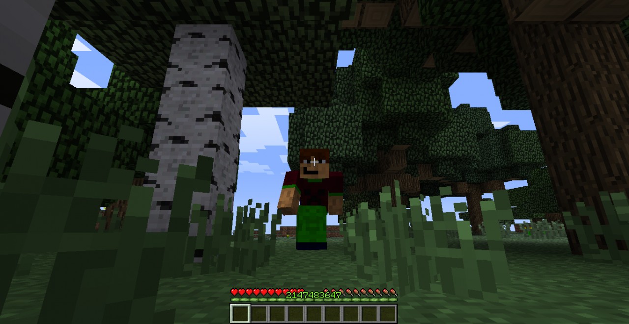 Lots of XP!!!! Minecraft Map