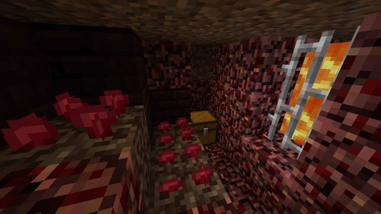 NetherBlock1.0 Survival! Minecraft Map