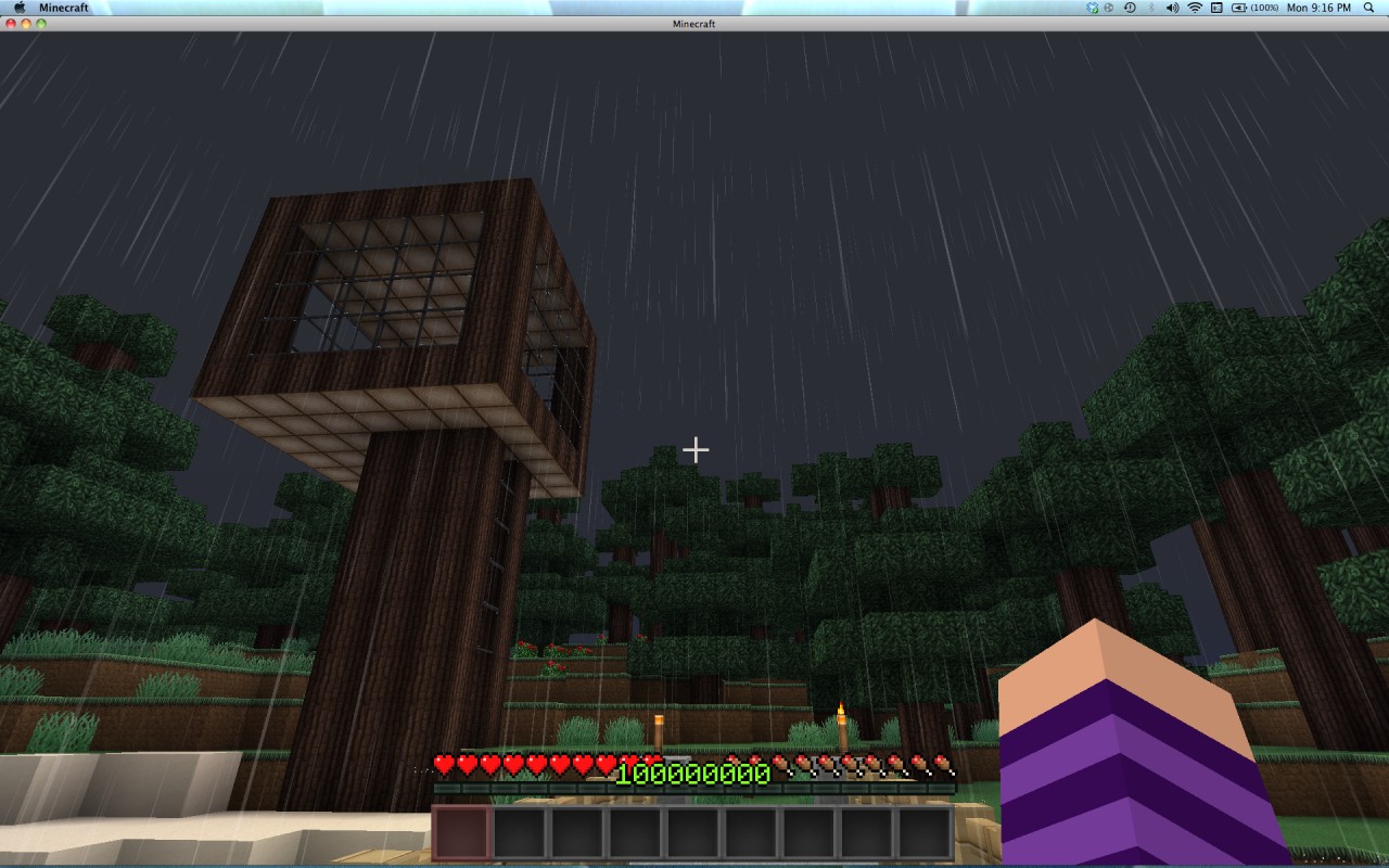 house + 100000000 xp points Minecraft Map