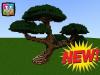 Giant Bonsai Tree Minecraft Map