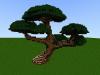 Giant Bonsai Tree Minecraft Map
