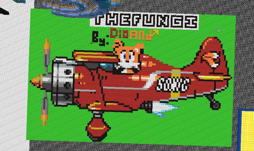 Tails in an airplane Minecraft Map