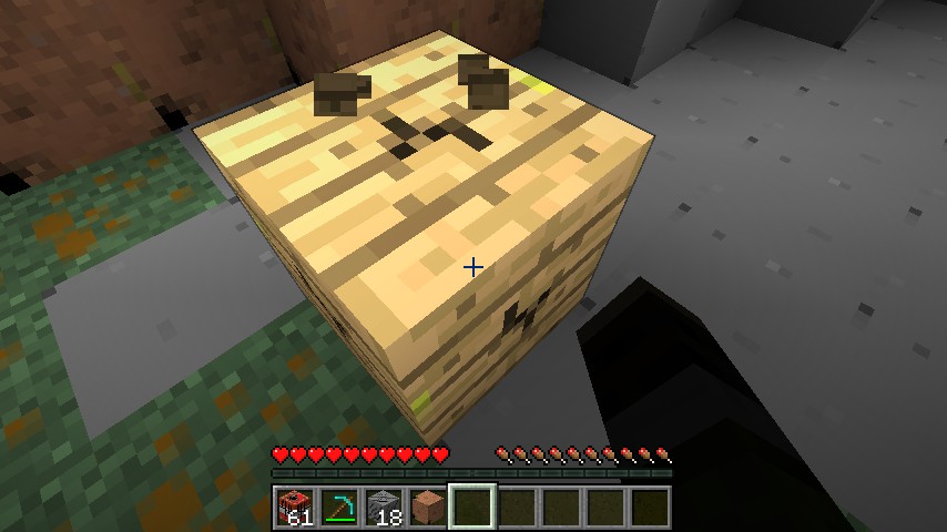 random pack Minecraft Texture Pack