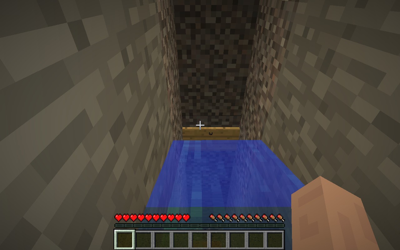 Freedom? Minecraft Map