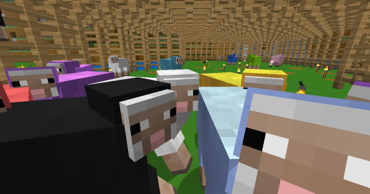 The Tale Of The Rainbow Sheep