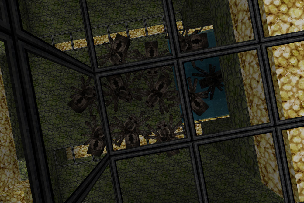 The Spider Dome Minecraft Map