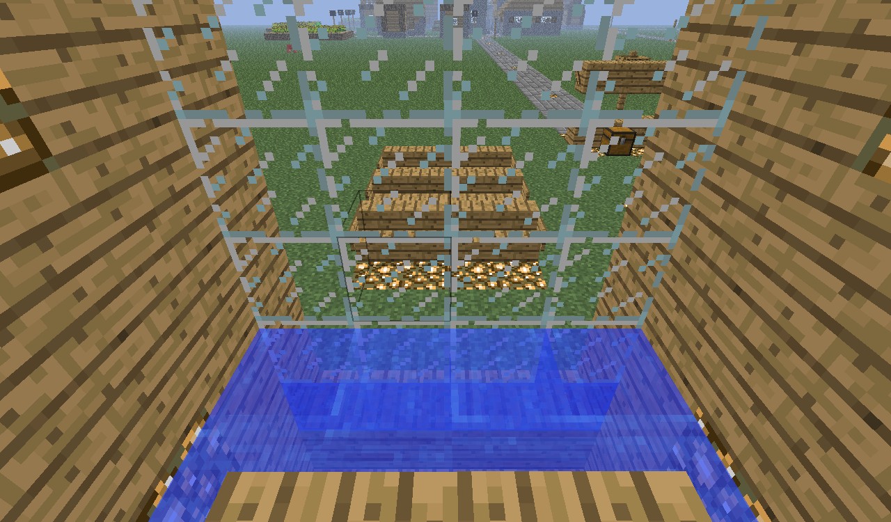 Dunk Tank Minecraft Map
