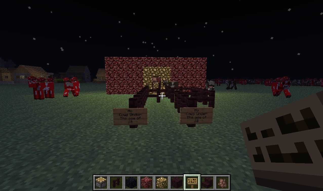 Nether Bar Minecraft Map