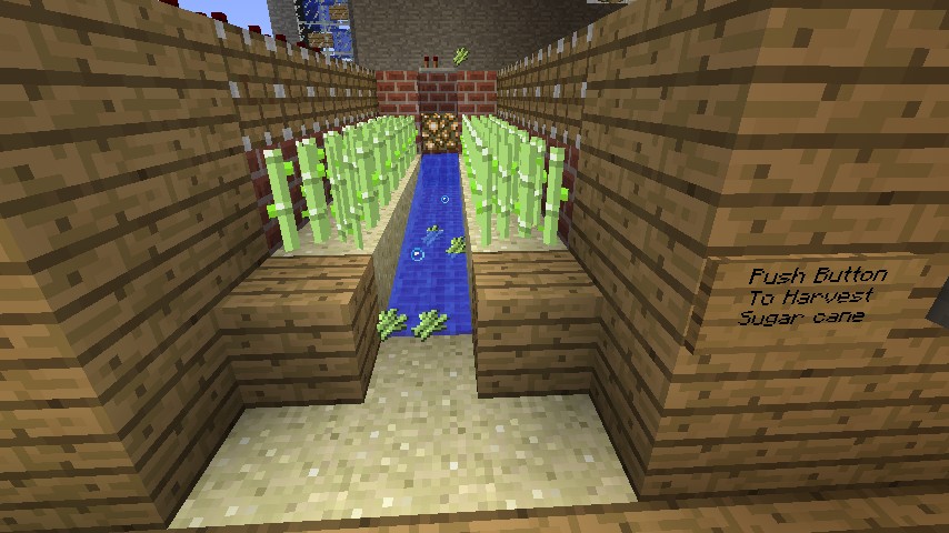 Small Sugar Cane Farm Minecraft Map