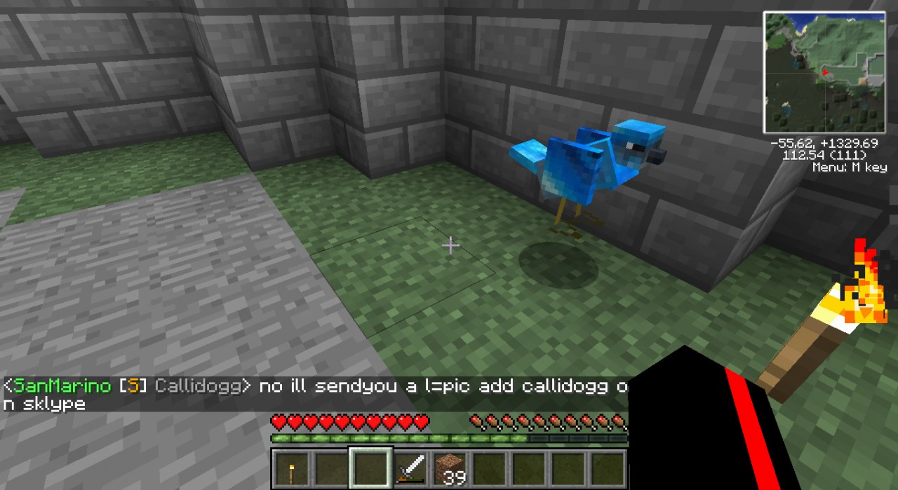 a bird in minecraft?