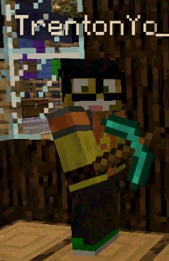 Poses Of Minecraft Players On Randon Servers Minecraft Project