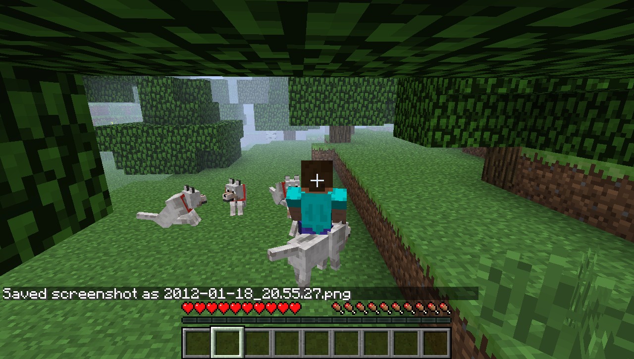 DogMadMan Minecraft Map