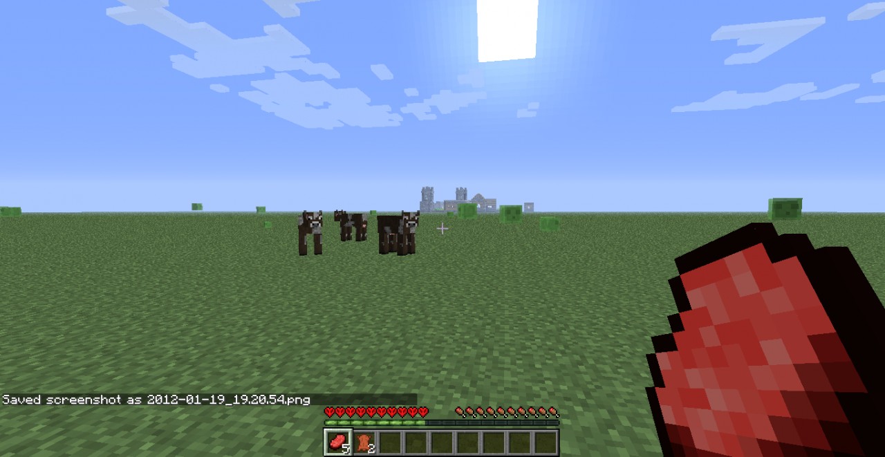 Flat Land Survival (Hardcore) Minecraft Map