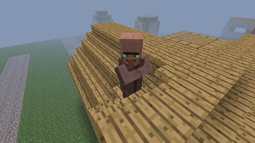 NPC village Minecraft Map