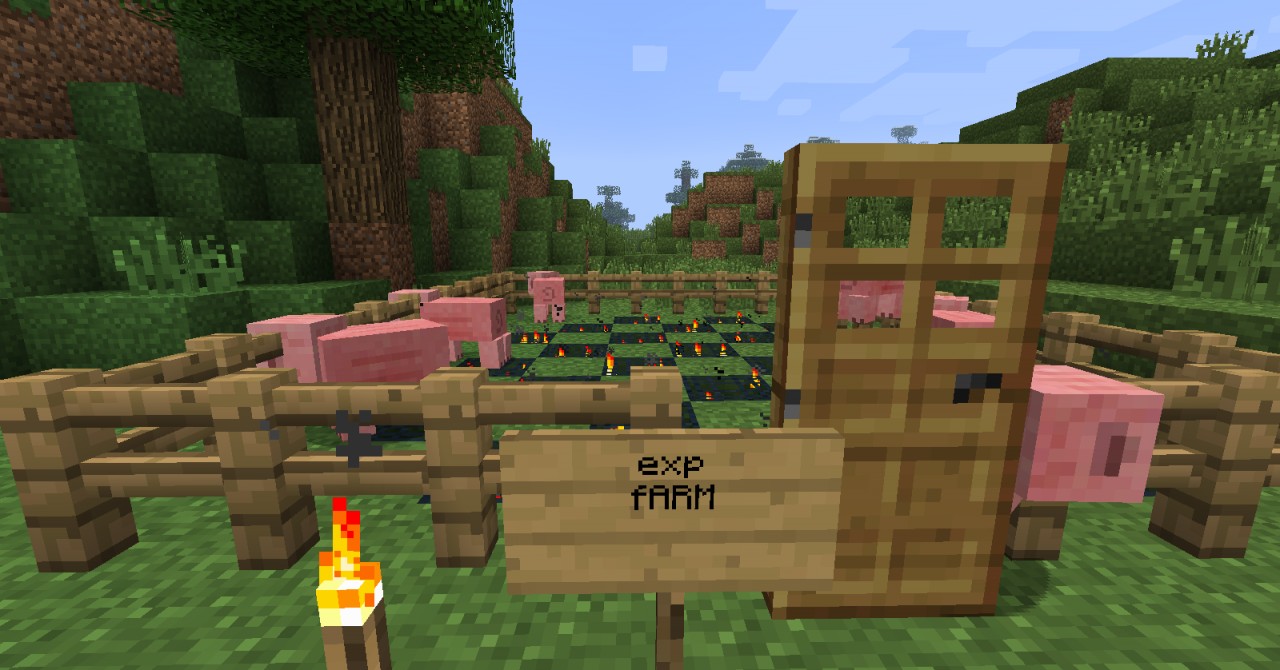 The Best Starter World (With End portal) Minecraft Map