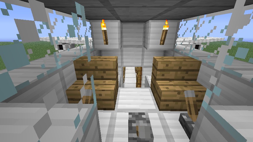 Big Jet Airliner Minecraft Map