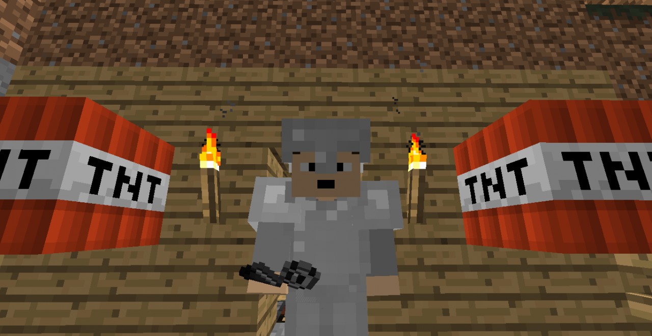 Test If You Are Dumb Minecraft Map