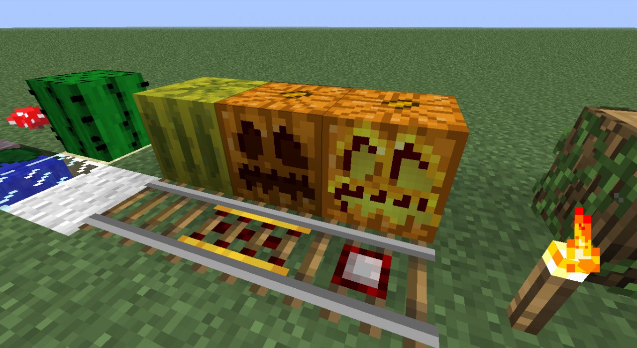 Texture pack tester Minecraft Map