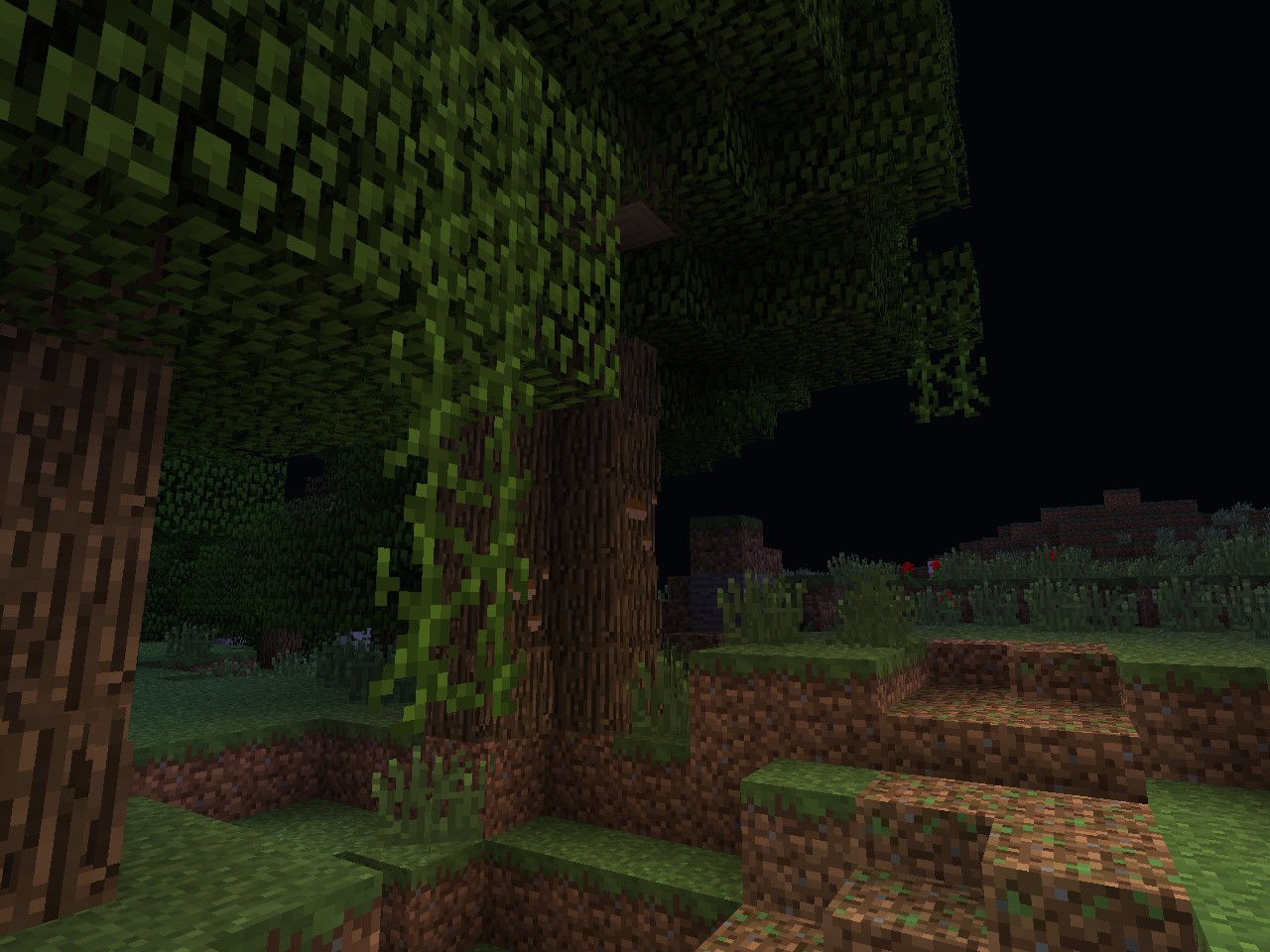 The minecraft update ideas Part 1: Conks, Bark, Trees and rocks