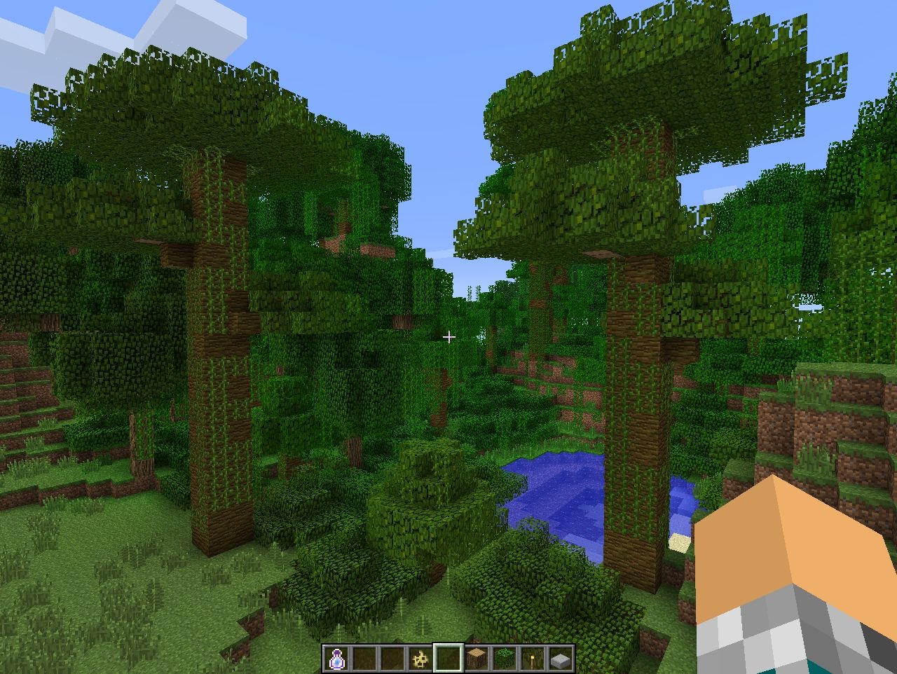 Wtf! New wood? Weird trees!! Jungle?!?!