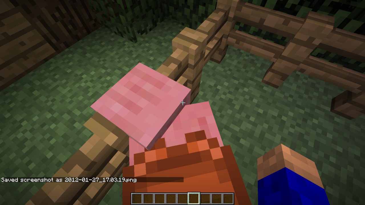 Dogtown Amusement Park 1.3 Minecraft Map