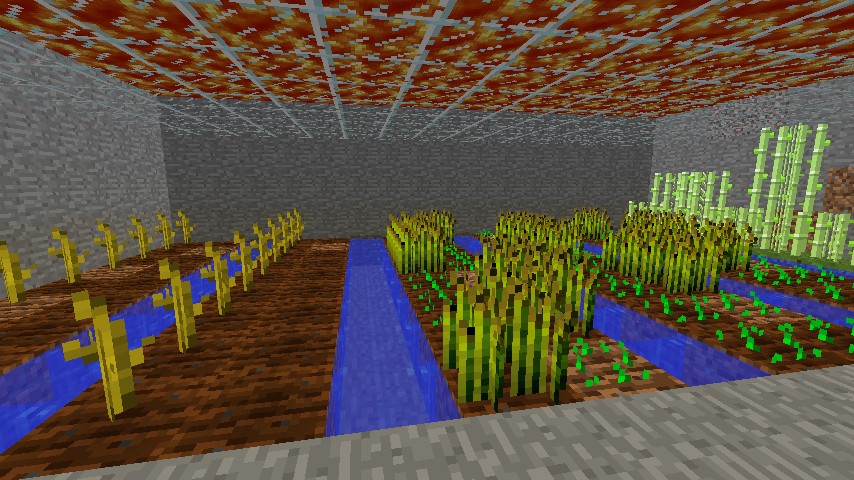 Plot limit Minecraft Map