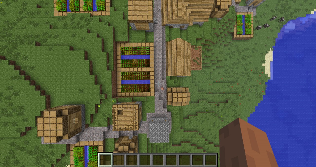 1.1 seed Minecraft Map