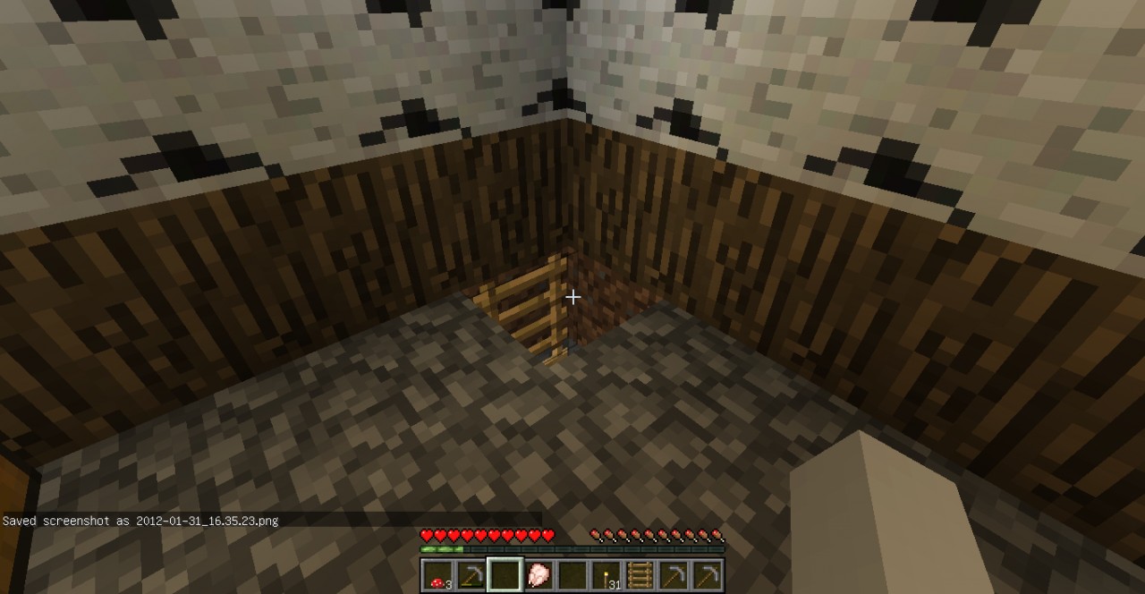 A wooden house Minecraft Map