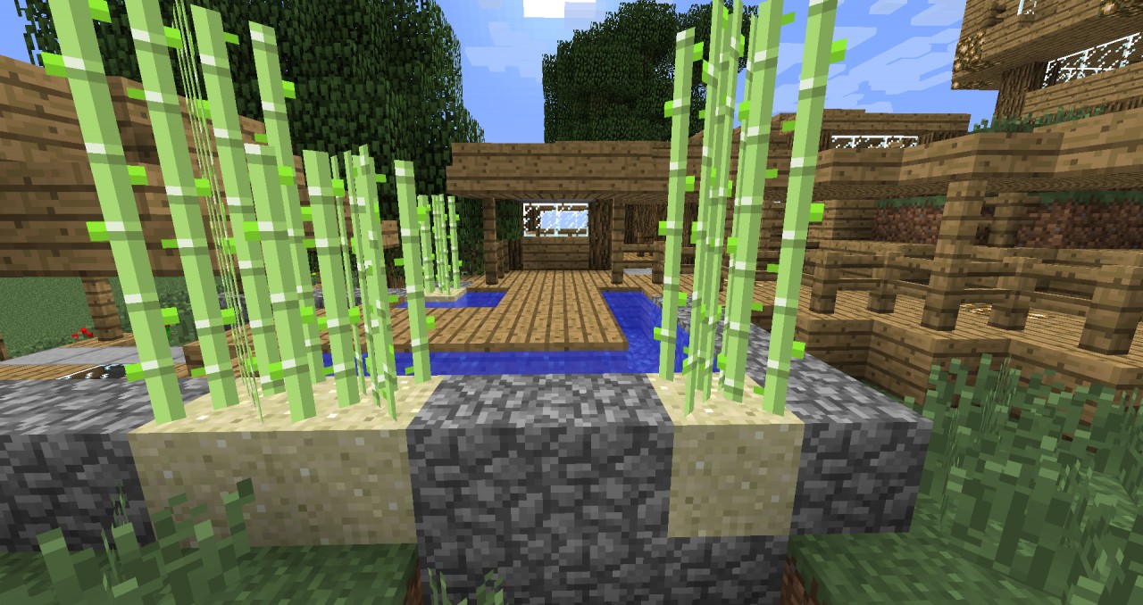 Forester's House Minecraft Map