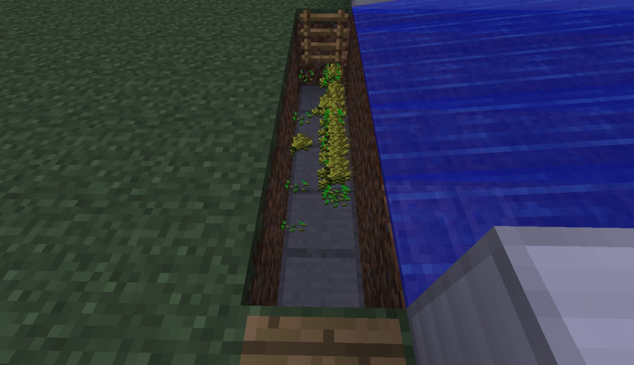 Wheat farm Minecraft Map