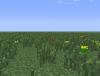 Flatgrass Survival! Minecraft Map