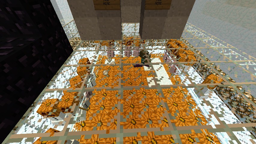 Mob Fighters Minecraft Map