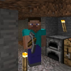 The story of steve 1