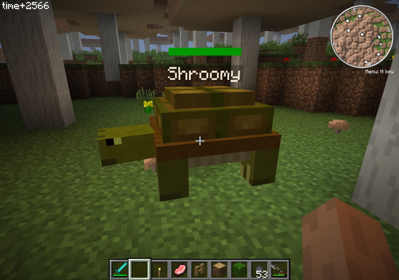 Turtle Glitch Minecraft Map