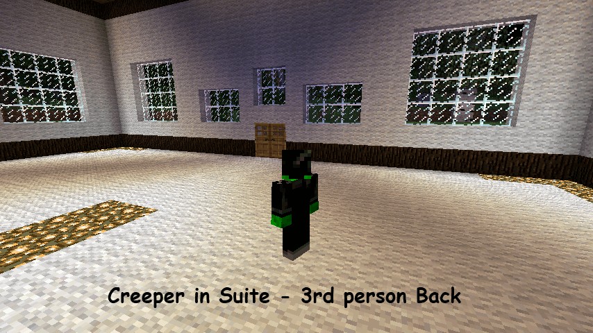 Skin Project Minecraft Map