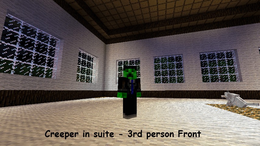 Skin Project Minecraft Map