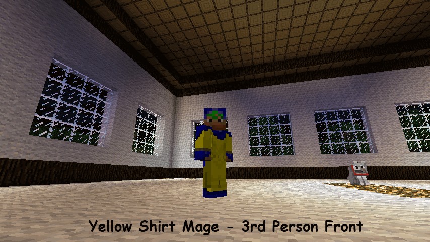 Skin Project Minecraft Map