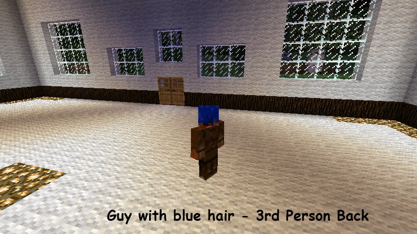 Skin Project Minecraft Map