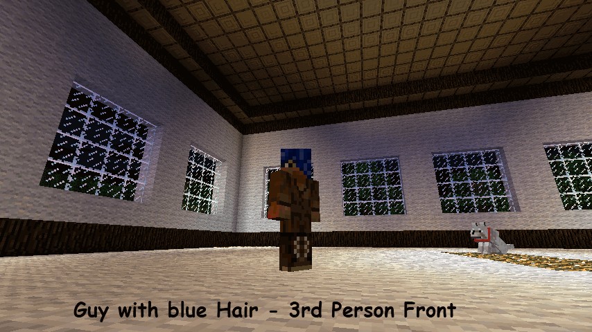 Skin Project Minecraft Map