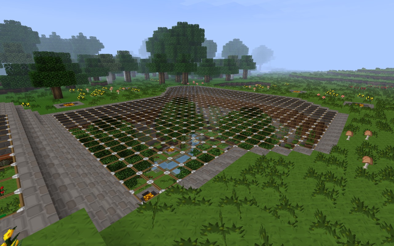 Pocket Grove Minecraft Map