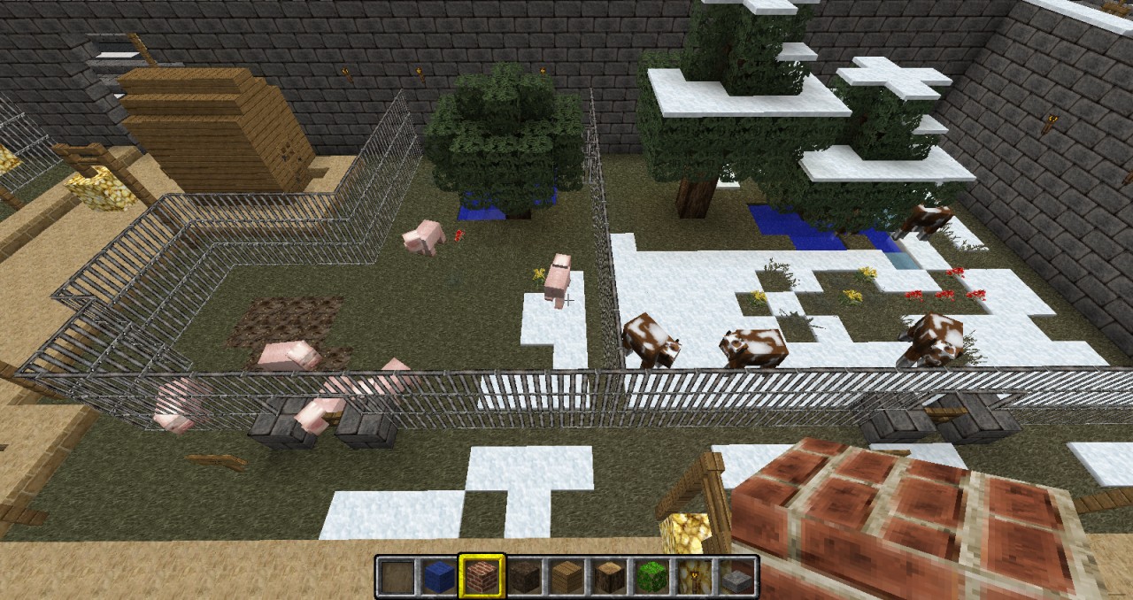 McDonald's and ZOO Minecraft Map