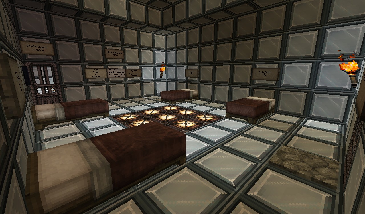 The puzzle 3 Minecraft Map