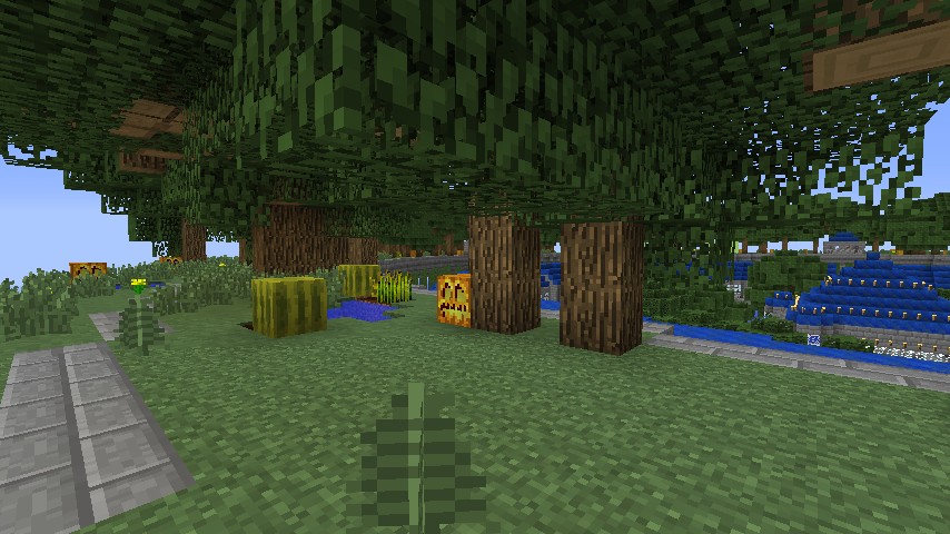 Island Oasis Minecraft Map