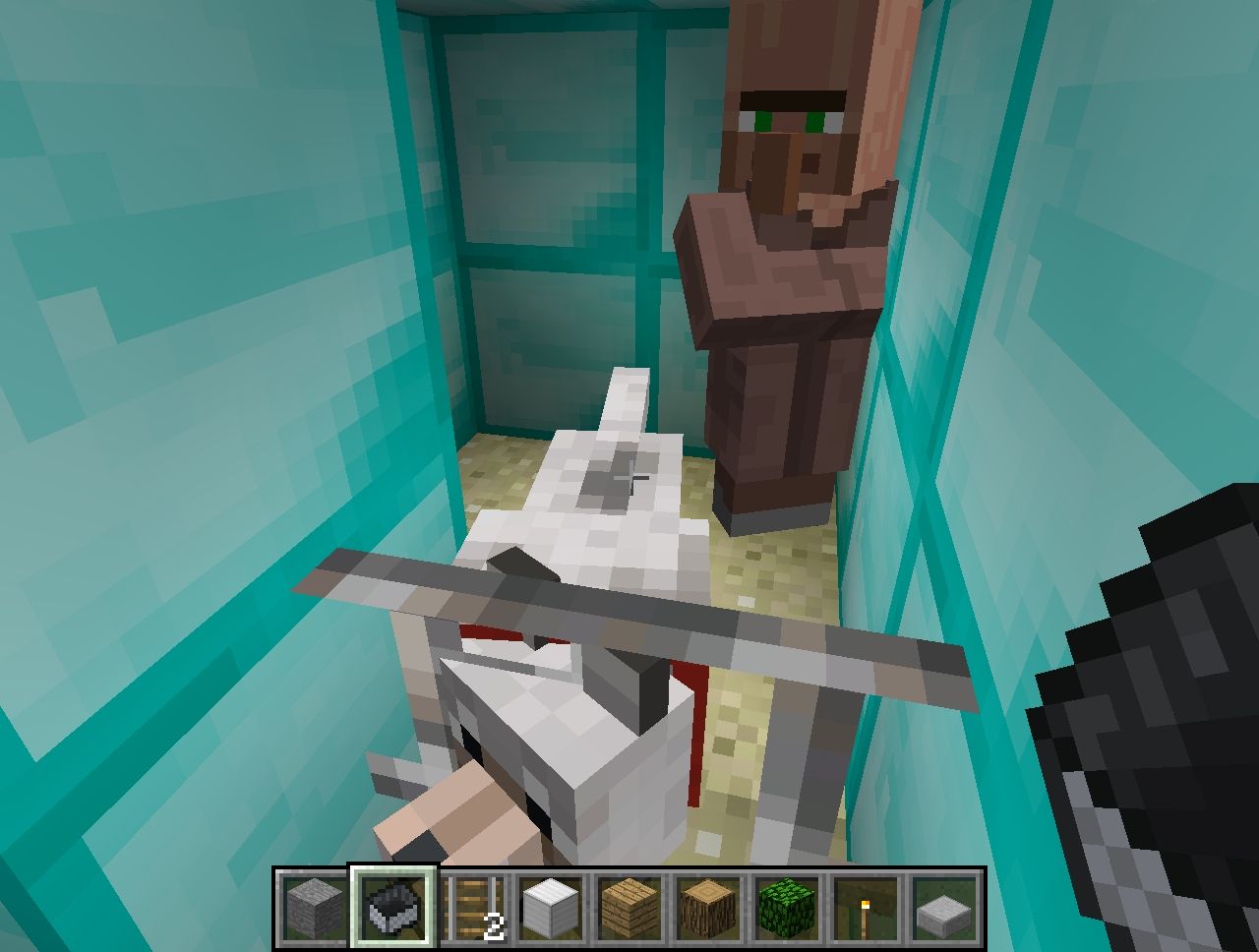 villager jail Minecraft Map